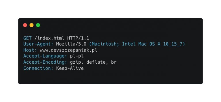Wprowadzenie do REST API - devszczepaniak.pl